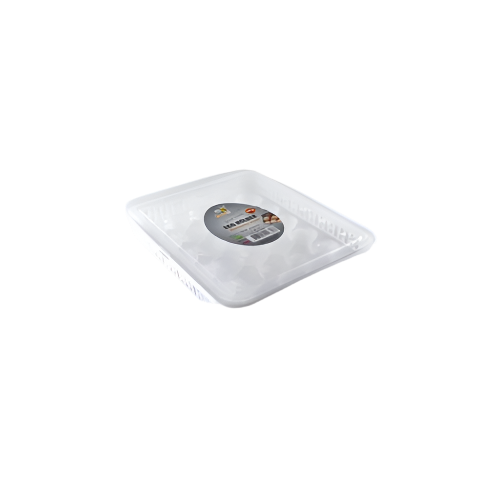 Plastic Egg Storage Box – Holds 30 Eggs | Fridge Organizer Container ...